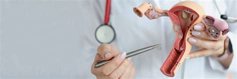 GyneFix Spiral Nedir ? | OP. DR. ÖZLEM ÖZBİLEN | 0506 584 21 09