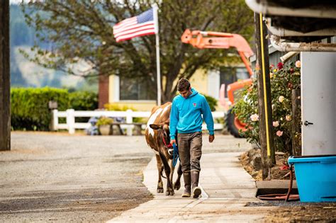 Chs Drayton Drayton Nd