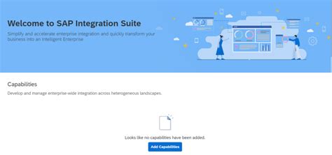 Sap Cpi How To Install Integration Suite Api Management Api