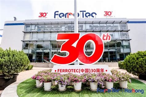 Ferrotec集团中国总部暨汉虹二期建设工程项目荣耀封顶