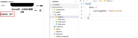 零基础微信小程序开发——wxml 模板语法之条件渲染（保姆级教程超详细）wx66dff5d6db4a3的技术博客51cto博客