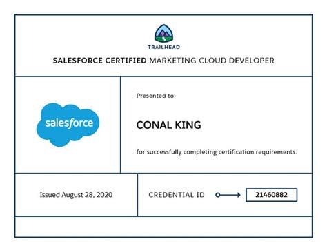 Salesforce Certified Marketing Cloud Developer Pdf Cloud Computing Internet