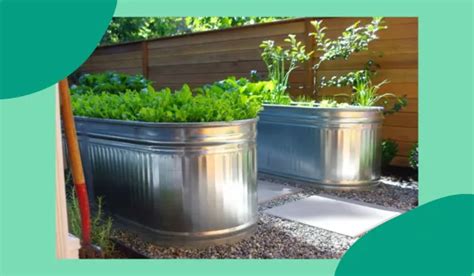 What To Do With An Old Cisterns Upcycling Ideas