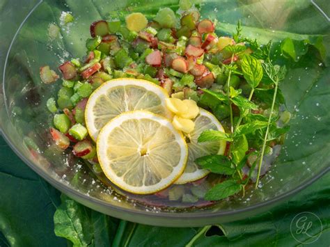 Rabarberu Sukādes Un Sīrups Garšīgā Latvija