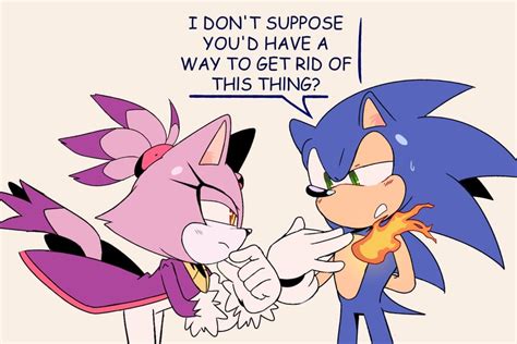 Sonic The Hedgehog And Blaze The Cat Sonic And 2 More Drawn By