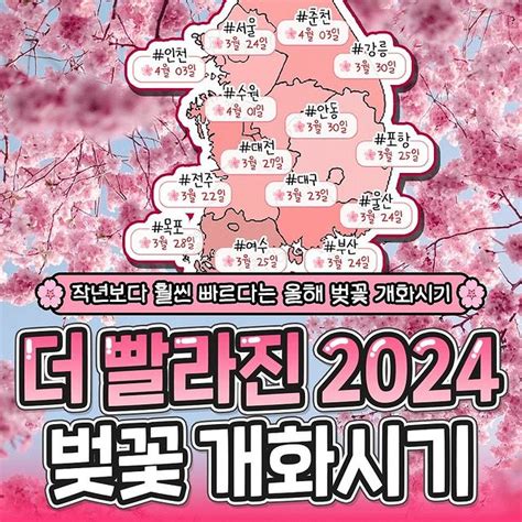 Daum 카페