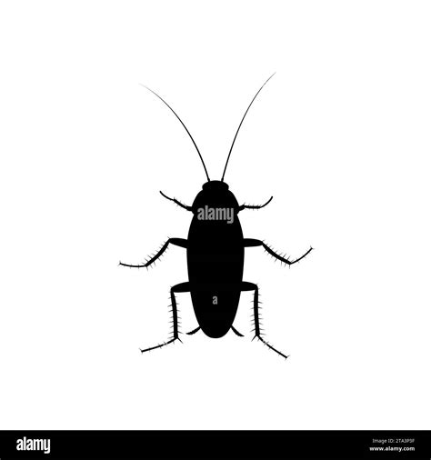 Cockroach Insect Icon Isolated On White Background Pest Bug Silhouette