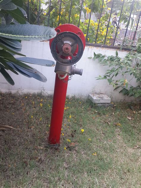 Flood The Flames Reliable Fire Hydrant Protection By Basic Elements