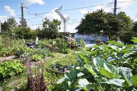 Urban Farming Essentials Cultivate A City Oasis Epost News