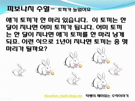 재미있는 수학문제 수학퀴즈 창의력 수학 피보나치 수열 토끼가 늘었어요 네이버 블로그
