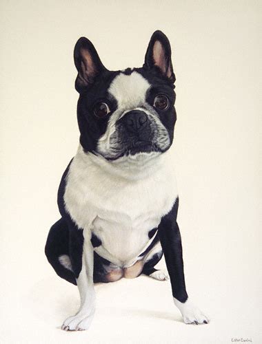 Artist Of The Month Ester Curini Artists Network