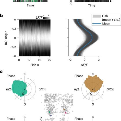 Network Activity Profile A Phase Zeroing Process For Every Time