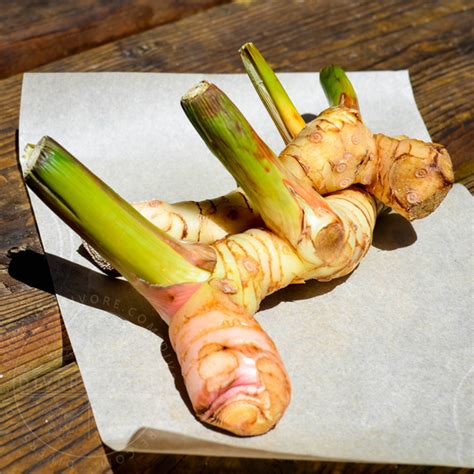 Greater Galangal - How to Choose & Use It