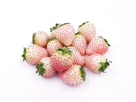 하얀 딸기 사진 무료 다운로드 Lovepik