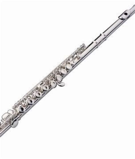 플루트 플룻 Flute 레슨 ‧₊ 서울특별시 서대문구 홍은동 비즈프로필