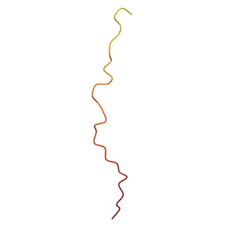 RCSB PDB - 8P2K: Ternary complex of translating ribosome, NAC and METAP1