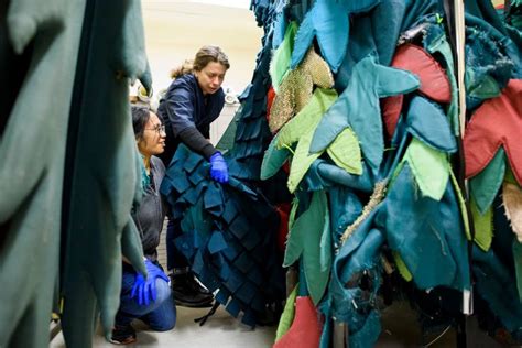Retired Stanford Trees Have Found A Home In Green Library Stanford Report