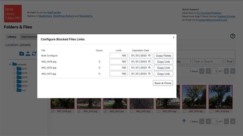 Mlfp 81 Adds Block Direct Access For Media Files Wordpress Gallery