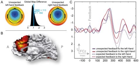 A Scalp Topographies For The Left And Right Hand Unexpected Difference Download Scientific