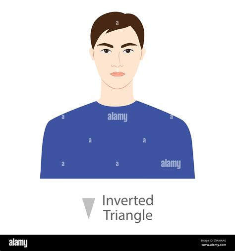 Men Face Inverted Triangle Shape Type With Text Diagram Male Vector Illustration In Cartoon