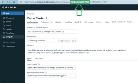 How To Programmatically Access Databricks Cluster Id 2025