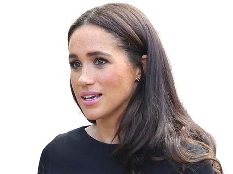 Meghan Markle Au Tribunal Public