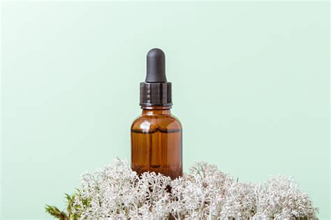 회색 이끼 배경 자연 배경에 드롭퍼 어두운 유리 병 모형 친환경 케어 유기농 제품 뷰티 트리트먼트 마사지 및 스파 컨셉 공간을 복사합니다 0명에 대한 스톡 사진 및 기타