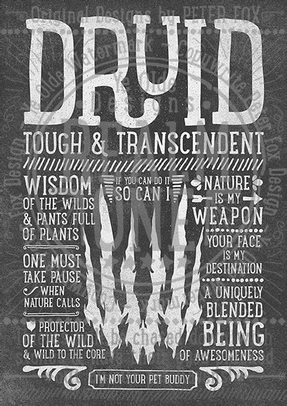 Druid Class T Shirt Realm One