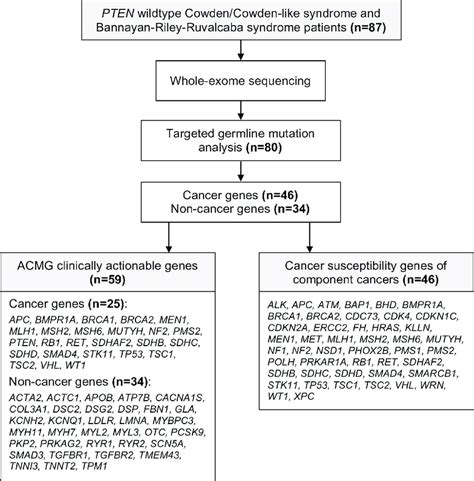 Study Design And Testing Strategy ACMG Indicates American College Of Download Scientific