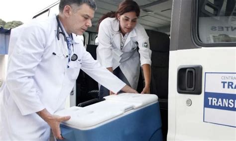 Fila De Espera Por Transplante Cresce No Brasil Após Pandemia