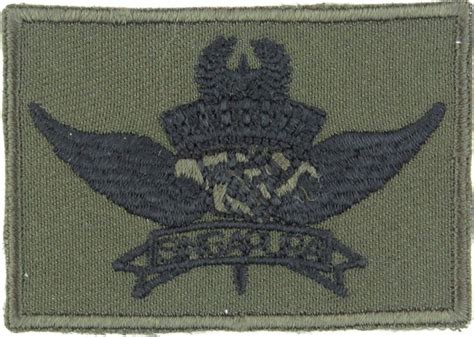 Singapore Master Parachute Wings Black Lettering Parachute Jump Wing