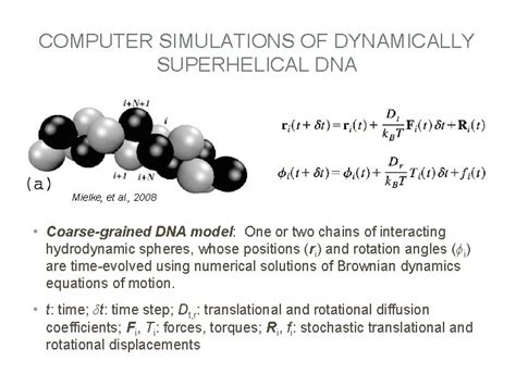 MODELING BIOMOLECULES APPLICATIONS IN COMPUTATIONAL BIOPHYSICS Steve Mielke