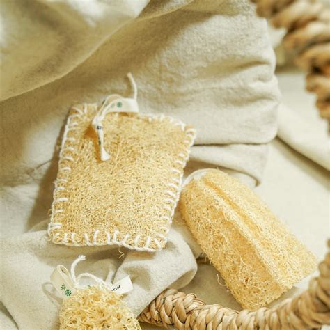 수세미너랑 천연 수세미 만들기 Kit 더스티치