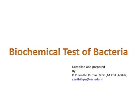 😊 Bacillus Subtilis Biochemical Tests Biochemical Test Of Bacillus