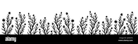 Horizontal Border With Hand Drawn Flowers On White Background Vector