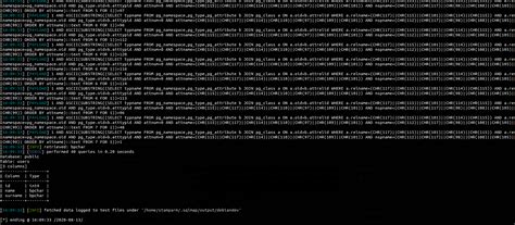 Unable To Retrieve Column Names Boolean Based Blind In Postgresql