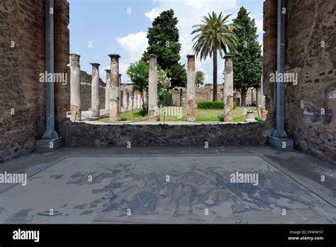 Pompeii Italy The Mosaic Shows The Battle Between Alexander Darius Hi