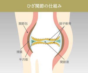 膝に溜まる水は抜いた方が良い 中青木整形外科ブログ