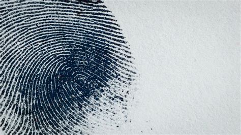 Embracing The Future Of Security Passwordless Authentication Aegis