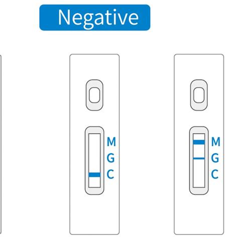 Colloidal Gold Immunochromatographic Test Results Download Scientific Diagram