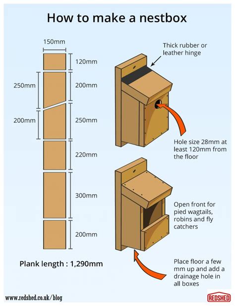 Bird Nest Box Plans Free Uk
