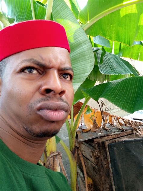 To Meet The Oracle Scrolller