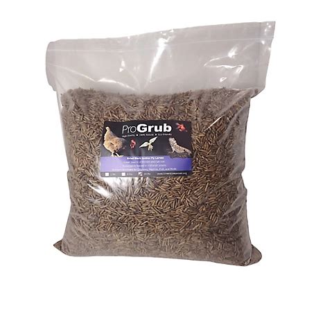 Progrub Black Soldier Fly Larvae Poultry Treats 10 Lb At Tractor