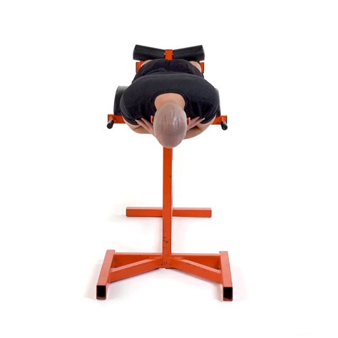 Plank Reach Trainwell