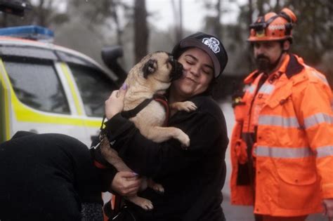 Nsw Floods Sydney Residents Told To Evacuate As City Braces For Heavy