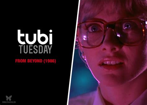 Tubi Tuesday Stir Of Echoes Morbidly Beautiful