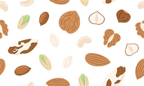모듬 된 견과류와 씨앗 완벽 한 패턴입니다 호두 아몬드 헤이즐넛 땅콩 건조 피스타치오 채식주의 자 음식 재료 배경 벡터 일러스트 레이 션 0명에 대한 스톡 벡터 아트 및