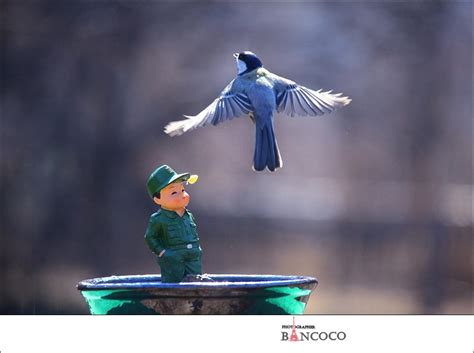 새사진 촬영법 새사진 촬영장소 네이버 블로그