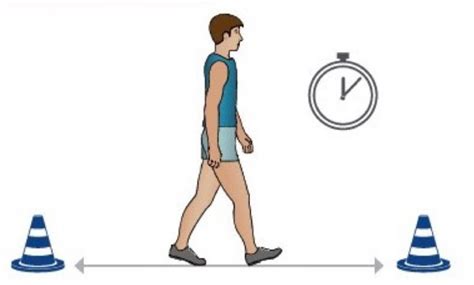 A Novel Prediction Tool Could Be Used As An Alternative To A 6 Minute Walk Test For Immobile