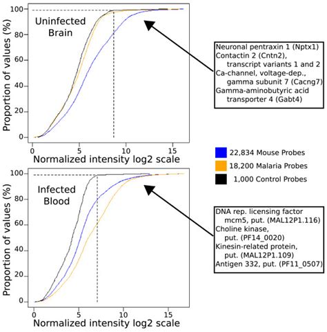 Microarray Probe Specificity A Test Hybridization Was Performed Using